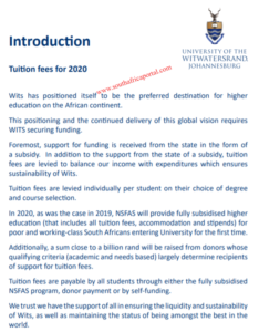 University of the Witwatersrand (WITS) Tuition, Fees & Funding 2025 ...