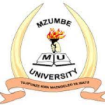 Mzumbe University ARMS login – www.arms.mzumbe.ac.tz - South Africa Portal