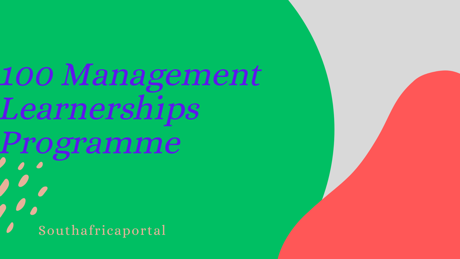 100 Management Learnerships Programme 2026/2027 | How to Apply - South ...