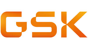 GSK Finance Internships 2026/2027 | How to Apply - South Africa Portal