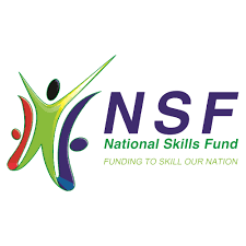 National Skills Fund (NSF) Internships Programme 2025/2026 | How to ...